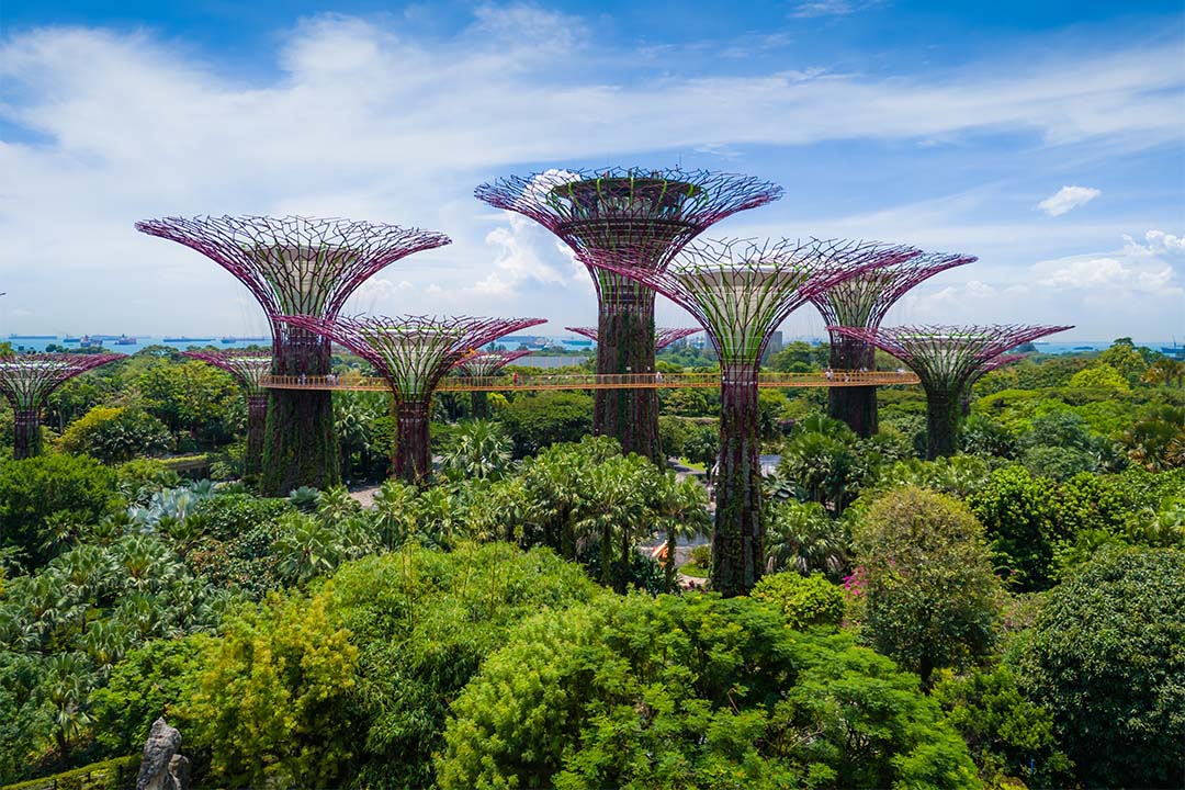 At a Glance: Singapore–Japan — Where Precision Meets Pulse - Bridges ...